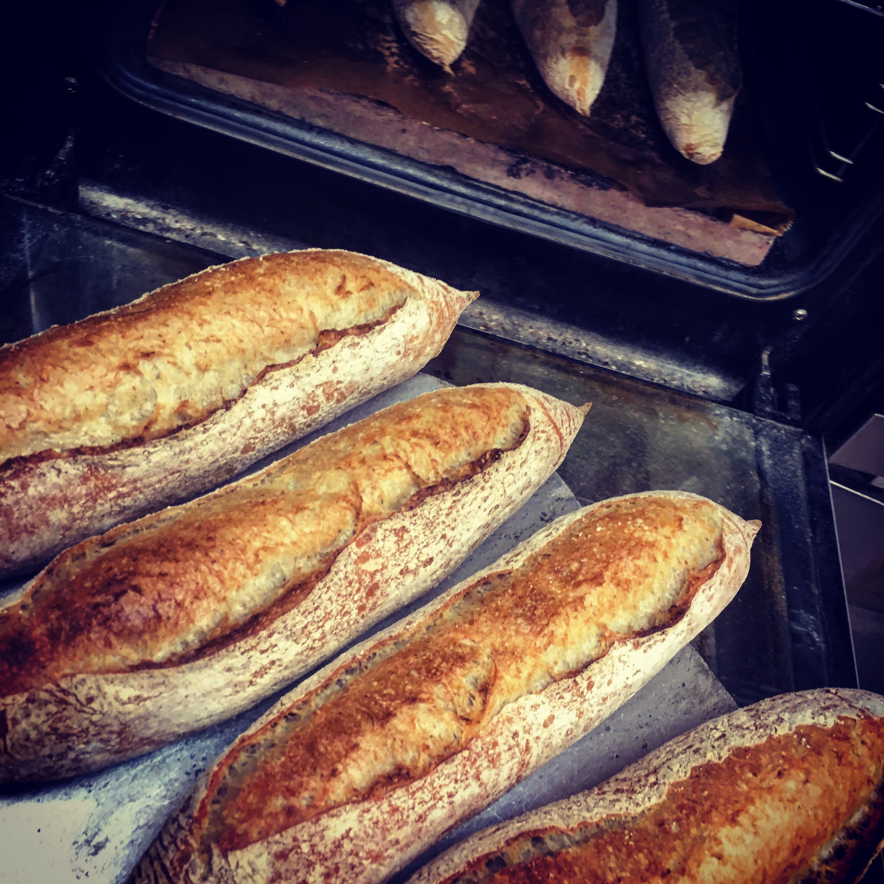 Why You're Not Happy with the Bread You Make (and the instant fix ...